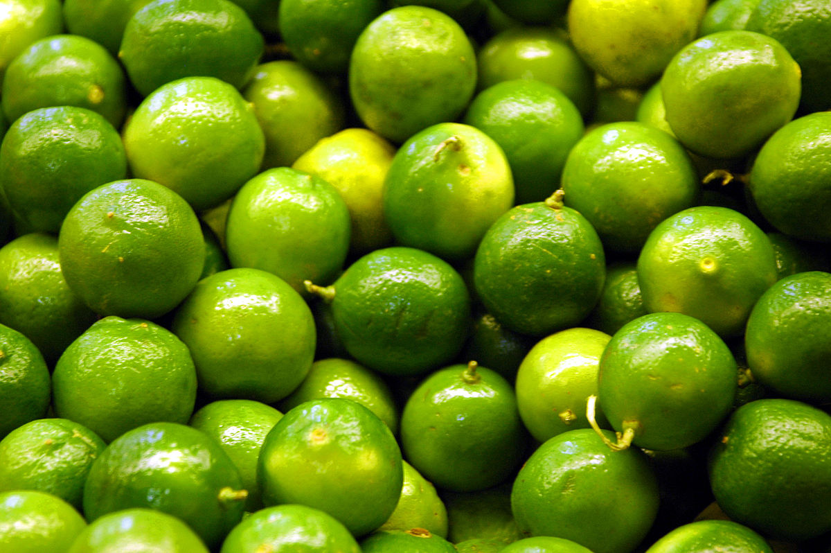 Exploring Models With Lime Nielsenmark us